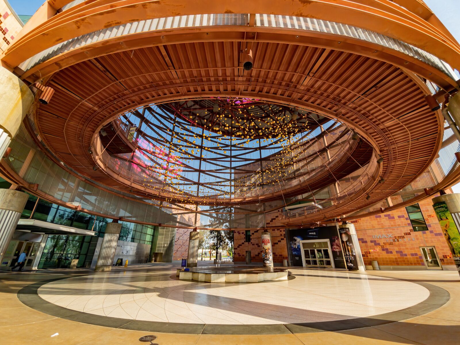 Field trips to California Science Center | Adventure with Wildflowers