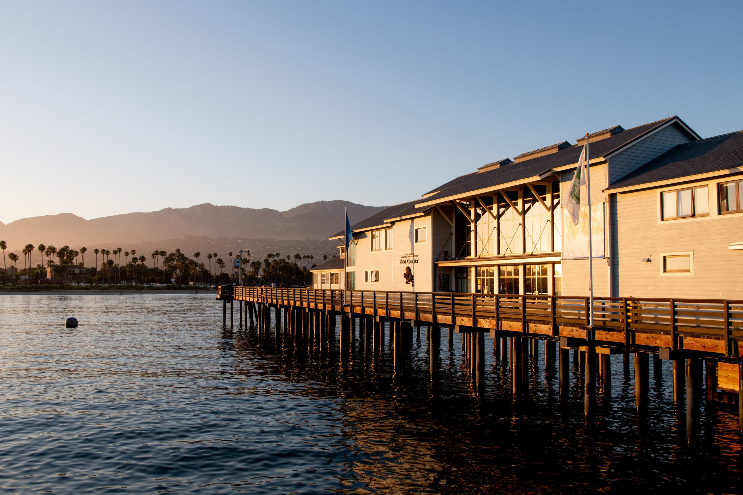 Santa Barbara Sea Center | Adventure with Wildflowers